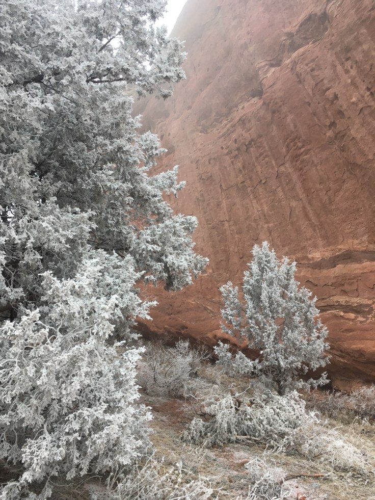 Red Rocks in the Snow – Trekking and Trails
